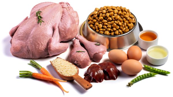 About Drools | Top Pet Food Brand in India