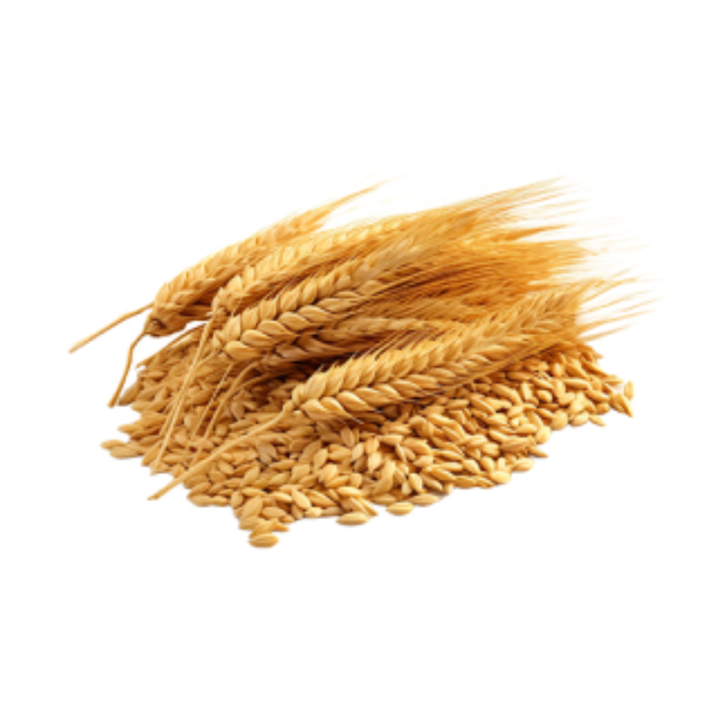 Best Ultium Dog Dry Food for Superior Nutrition | Drools