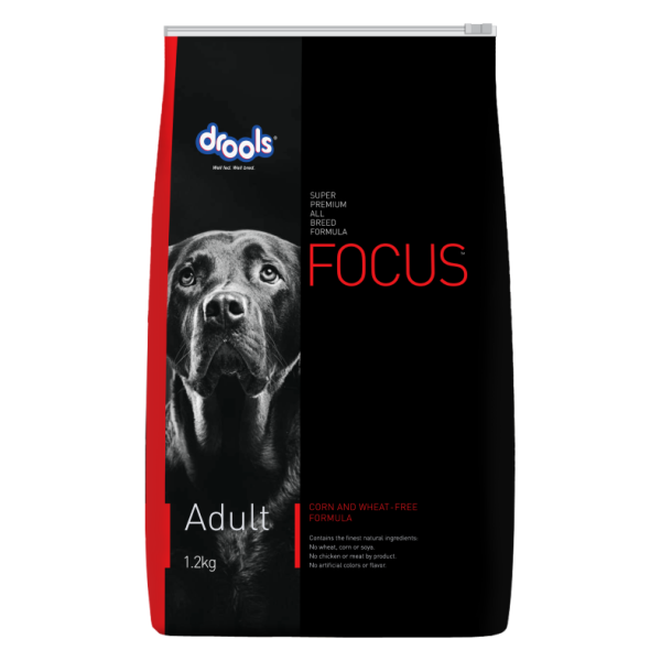 Explore Focus Dog Dry Food for Complete Nutrition | Drools