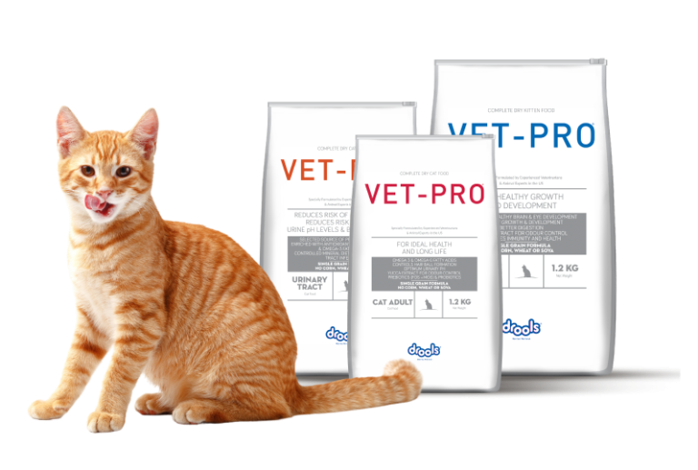 Find Vet-Approved Cat Prescription Diets | Drools