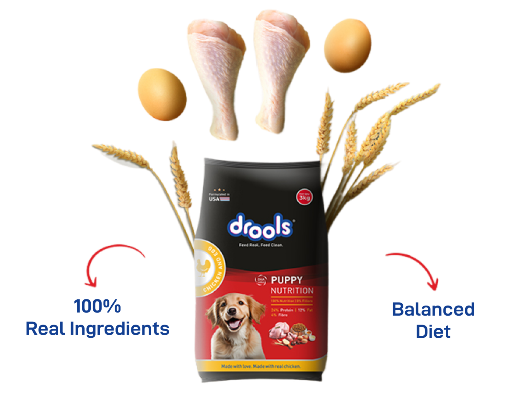 About Drools | Top Pet Food Brand in India
