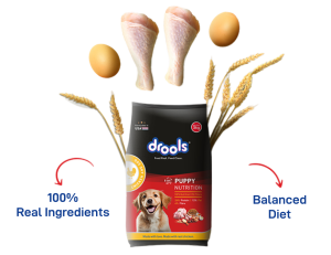 Best Pet Food in India for Healthy Dogs & Cats | Drools